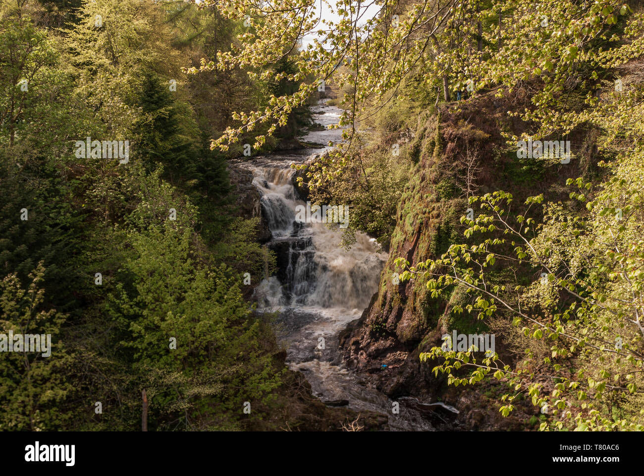 The Reekie Linn waterfall on the River Isla, Perthshire, Scotland, in ...