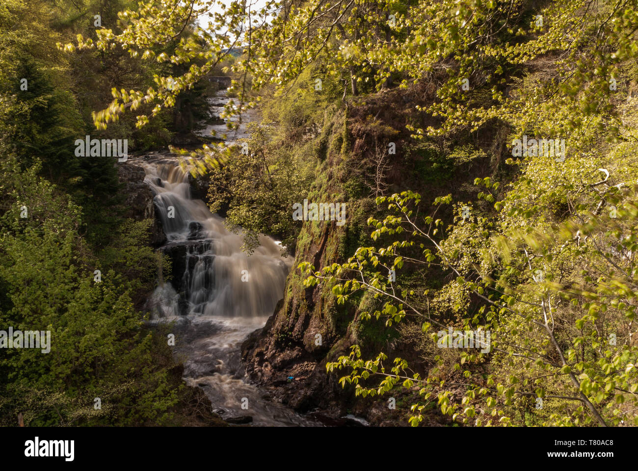 The Reekie Linn waterfall on the River Isla, Perthshire, Scotland, in ...