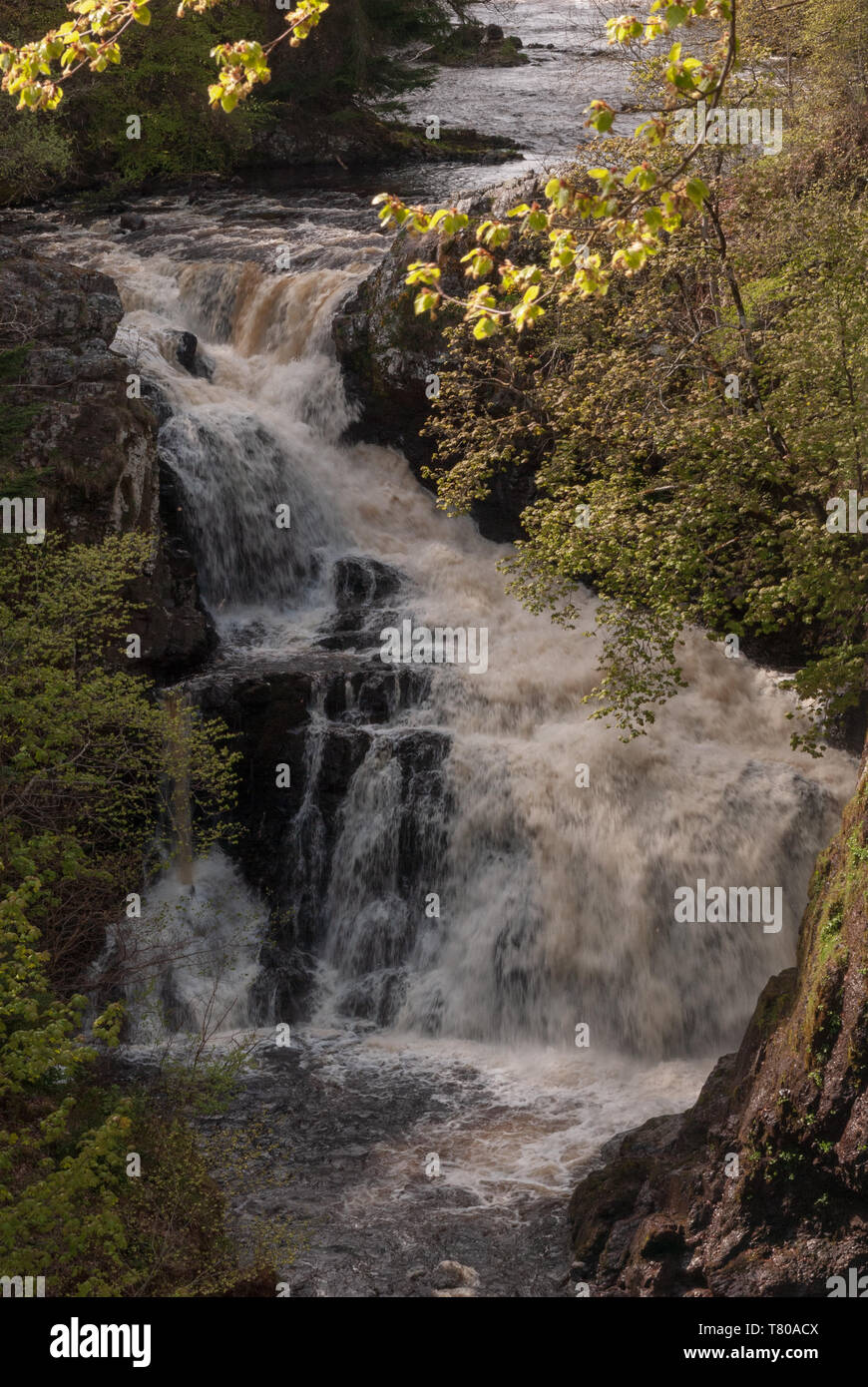The Reekie Linn waterfall on the River Isla, Perthshire, Scotland, in ...