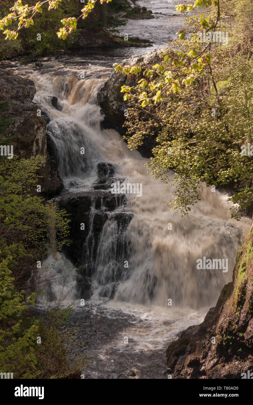The Reekie Linn waterfall on the River Isla, Perthshire, Scotland, in ...