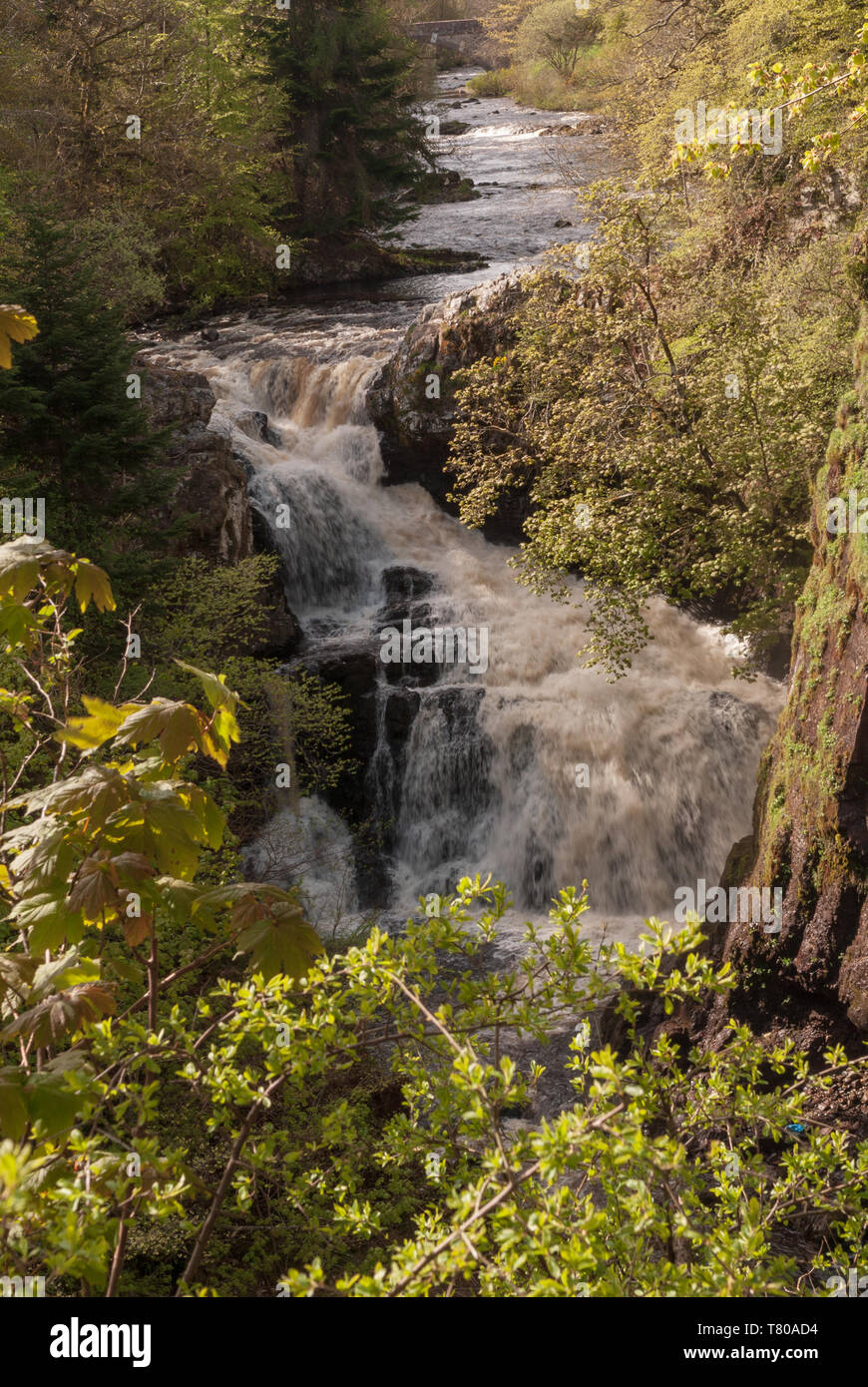 The Reekie Linn waterfall on the River Isla, Perthshire, Scotland, in ...