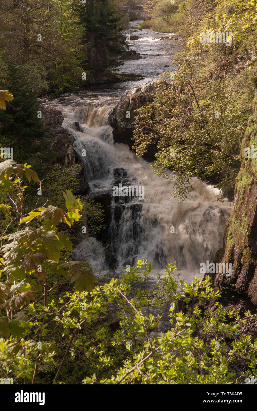 The Reekie Linn waterfall on the River Isla, Perthshire, Scotland, in ...