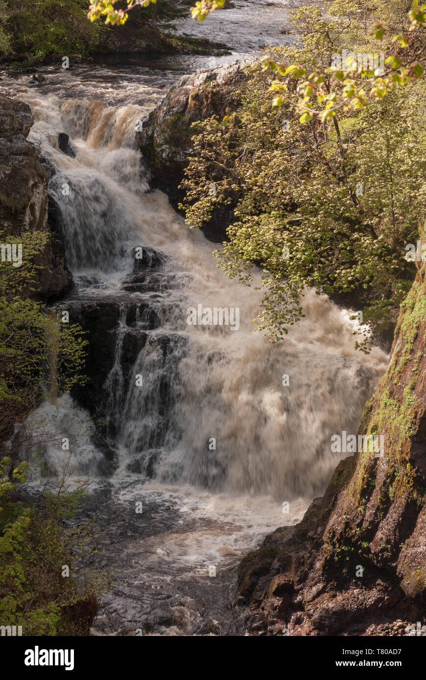 The Reekie Linn waterfall on the River Isla, Perthshire, Scotland, in ...