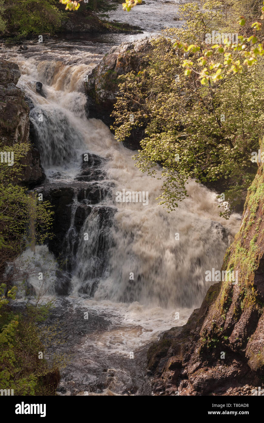 The Reekie Linn waterfall on the River Isla, Perthshire, Scotland, in ...
