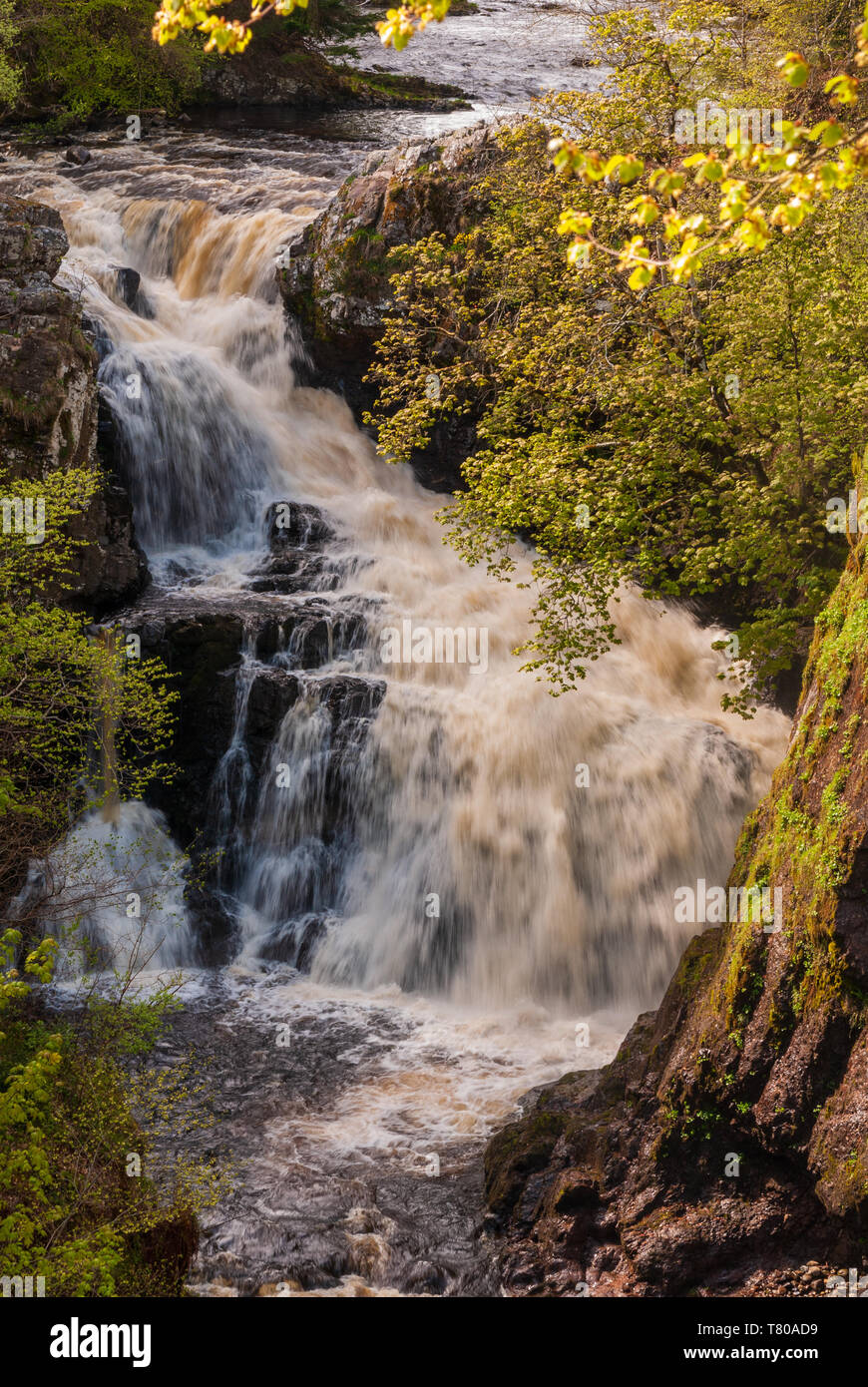 The Reekie Linn waterfall on the River Isla, Perthshire, Scotland, in ...