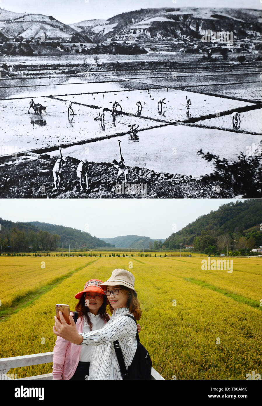 Yan'an. 9th May, 2019. Combo photo shows a farming scene at Nanniwan ...