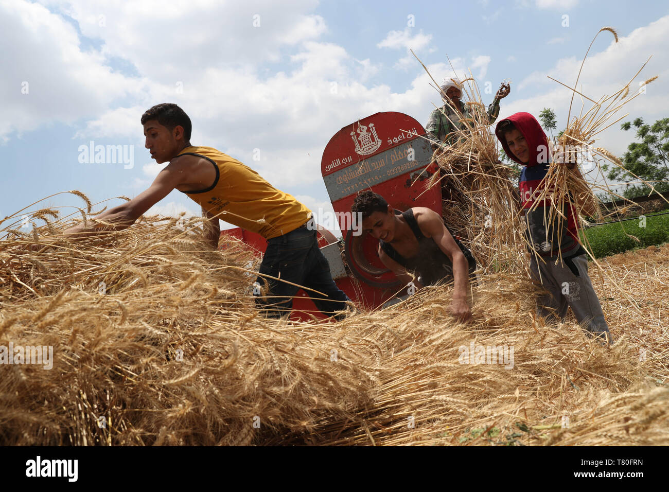 Season in egypt hi-res stock photography and images - Alamy