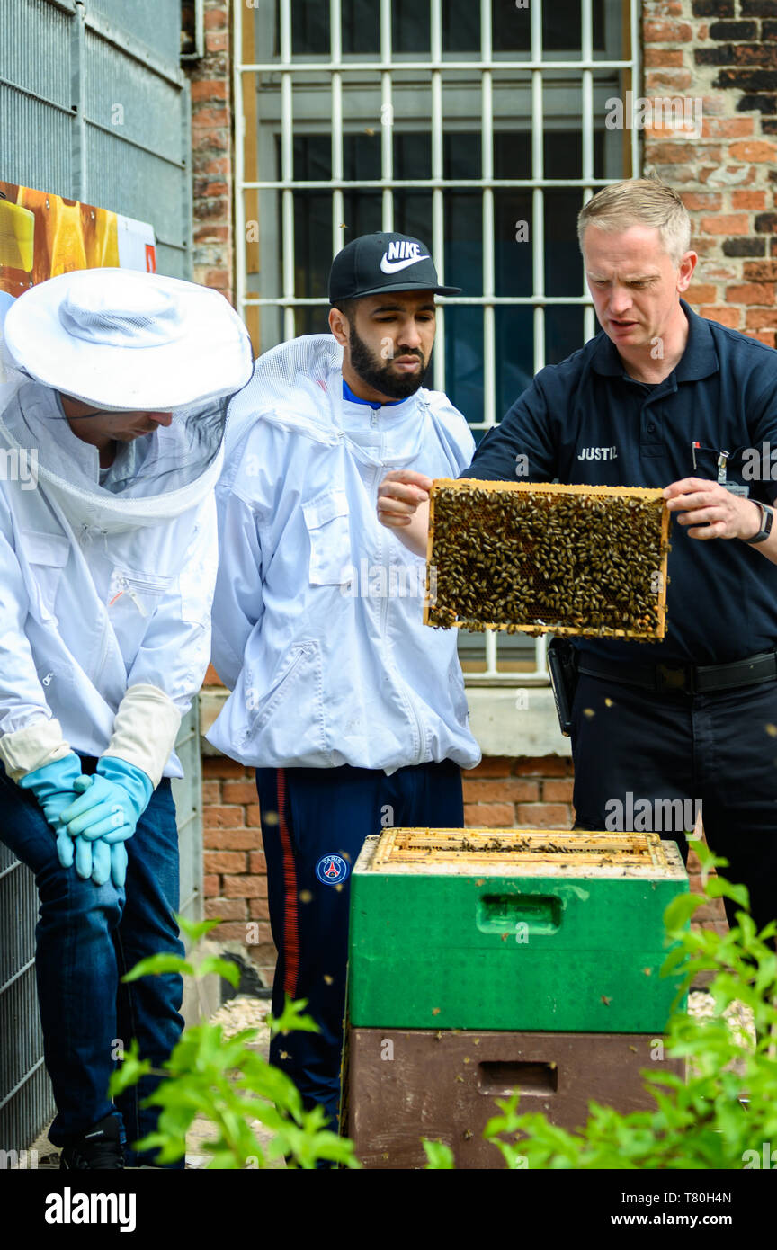 Jail bees hi-res stock photography and images - Alamy