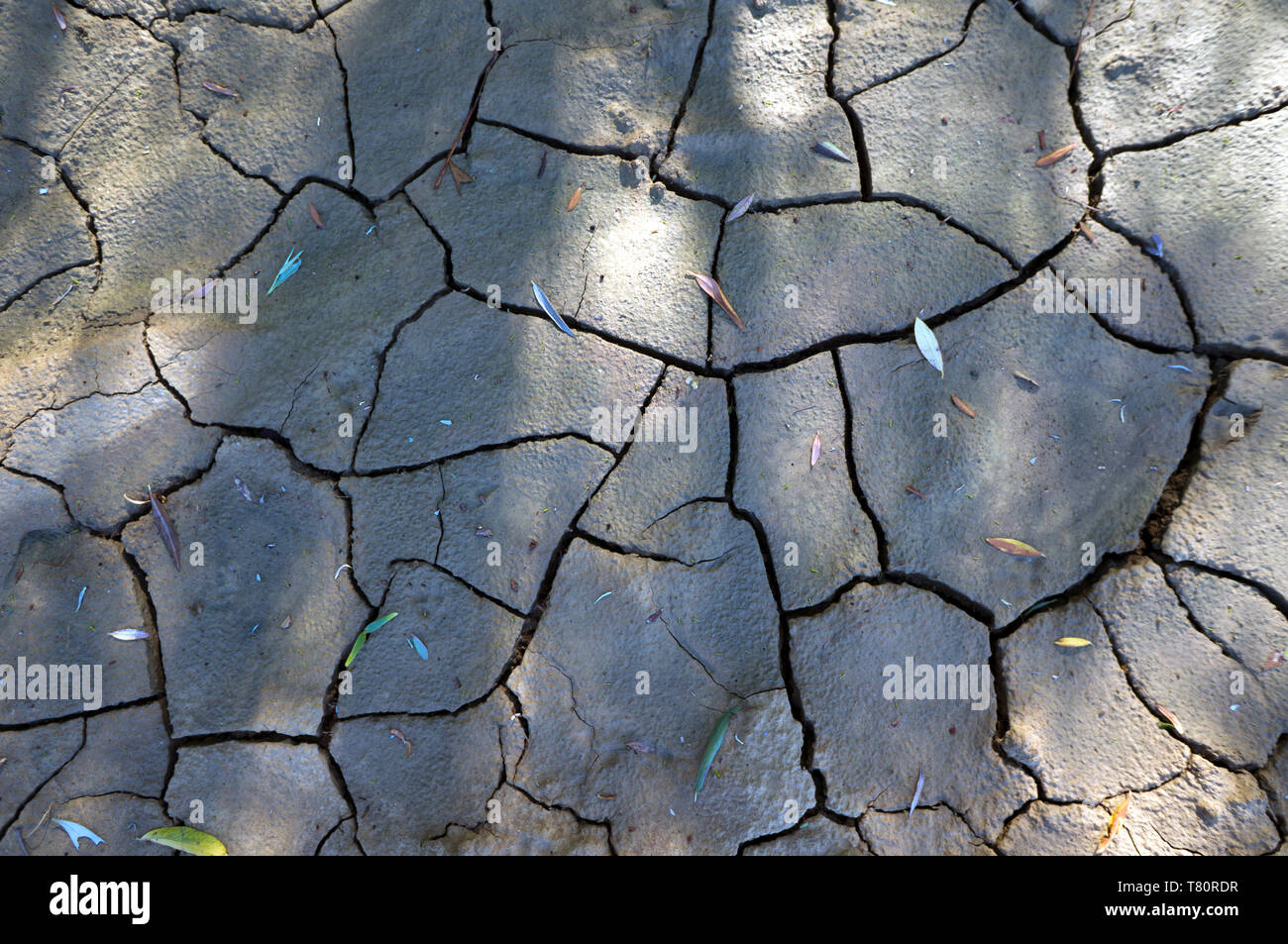 Dried earth hi-res stock photography and images - Alamy