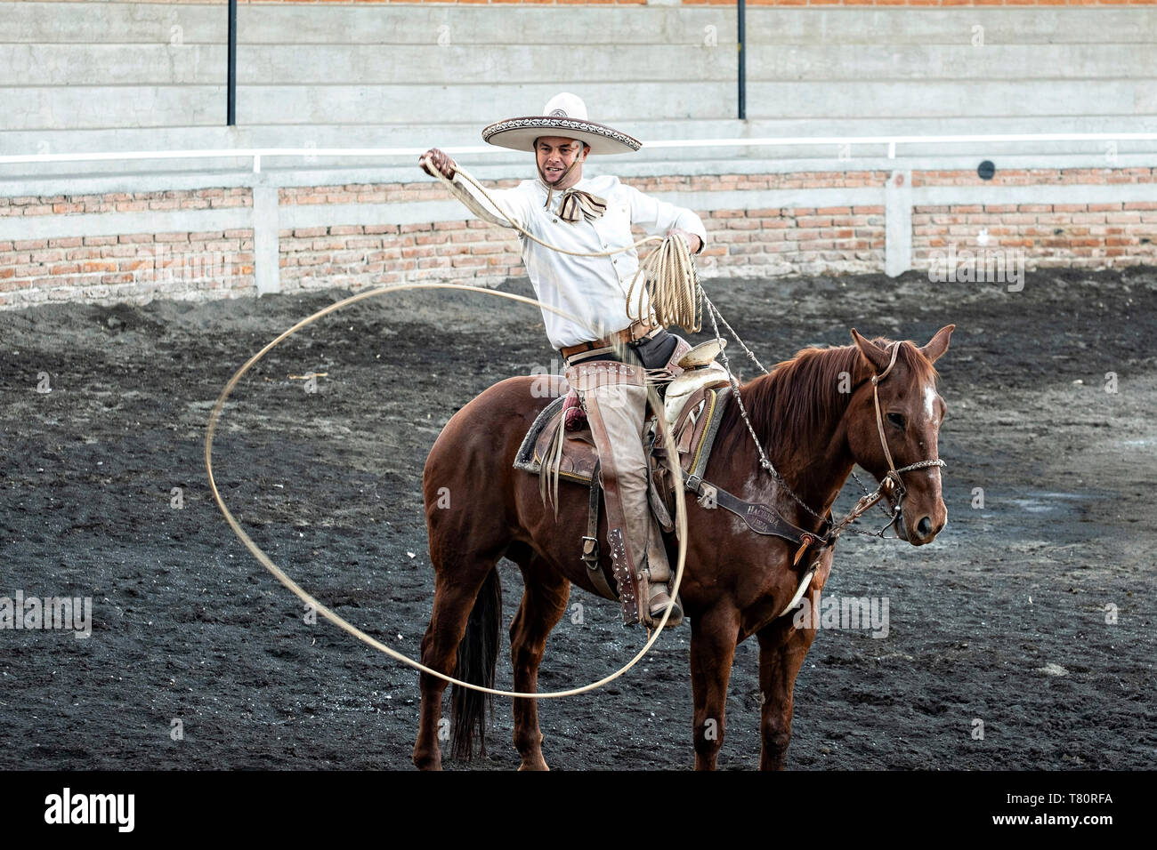 Luis Alfonso Franco shows off his roping skills on horseback during a ...
