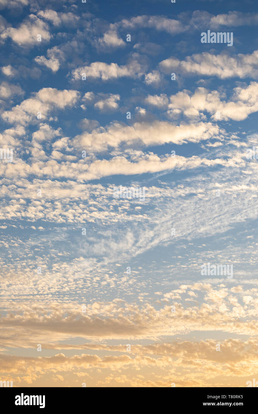 Cirrocumulus clouds sunset sky cloudscape background pattern Stock ...
