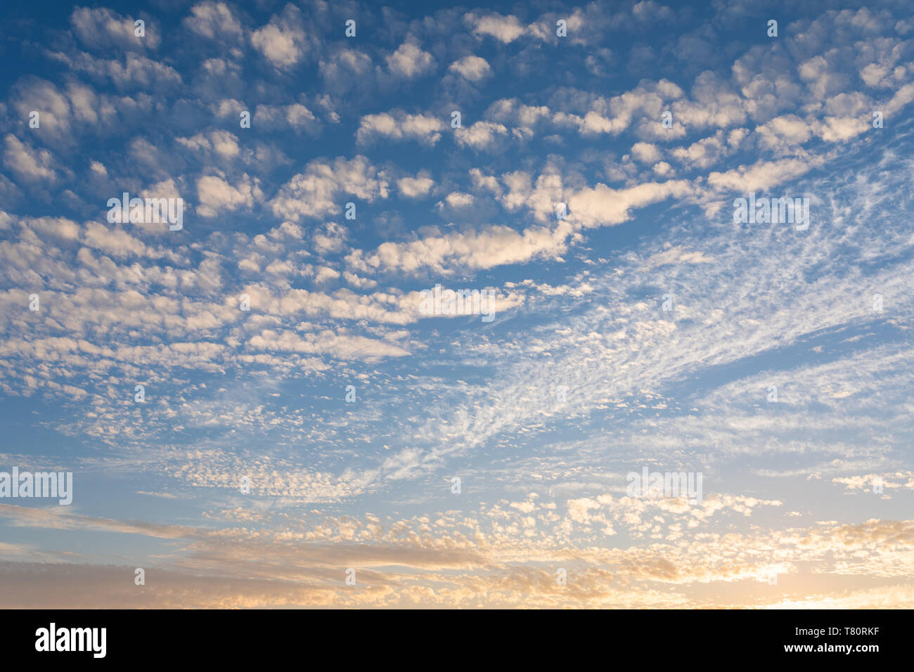 Cirrocumulus clouds sunset sky cloudscape background pattern Stock ...