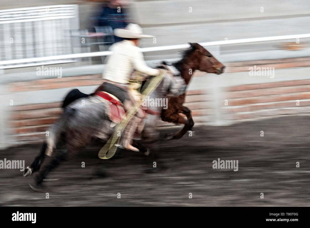 Charro caballo hi-res stock photography and images - Alamy