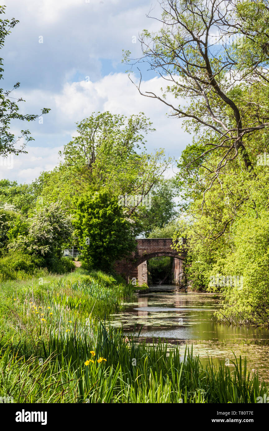 Severn and thames canal hi-res stock photography and images - Alamy