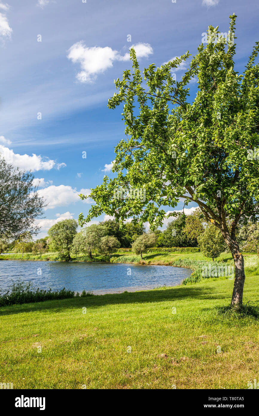 One of the lakes at Cotswold Water Park near Cerney Wick in ...