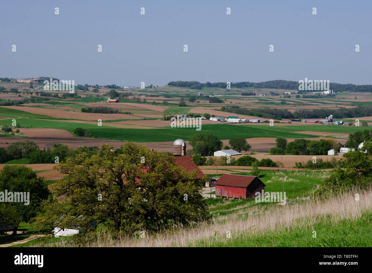Rickardson hi-res stock photography and images - Alamy