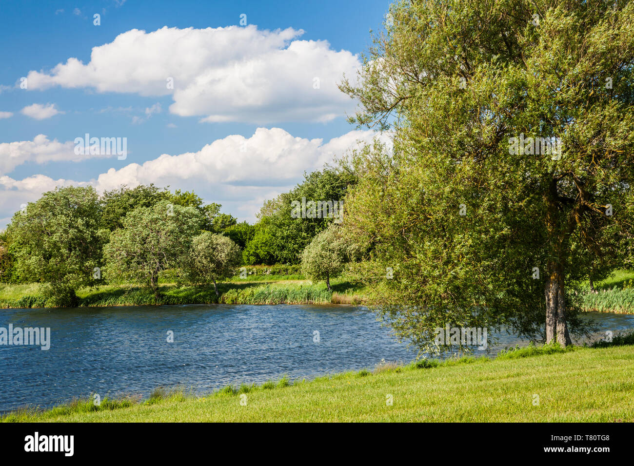 One of the lakes at Cotswold Water Park near Cerney Wick in ...