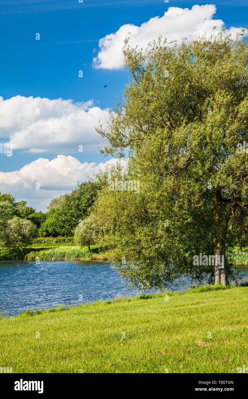 One of the lakes at Cotswold Water Park near Cerney Wick in ...