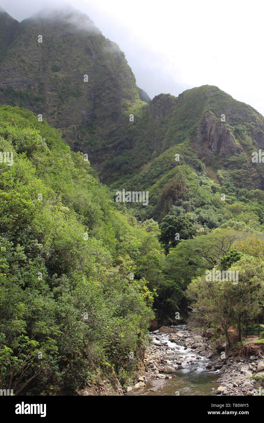 Mountain summits shrouded in clouds behind the Iao Stream at Iao Valley ...
