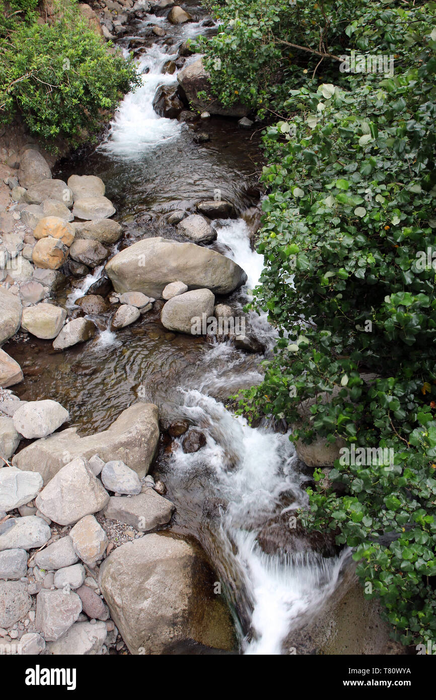 The Iao Stream flowing over a rocky streambed in Iao Valley State Park ...
