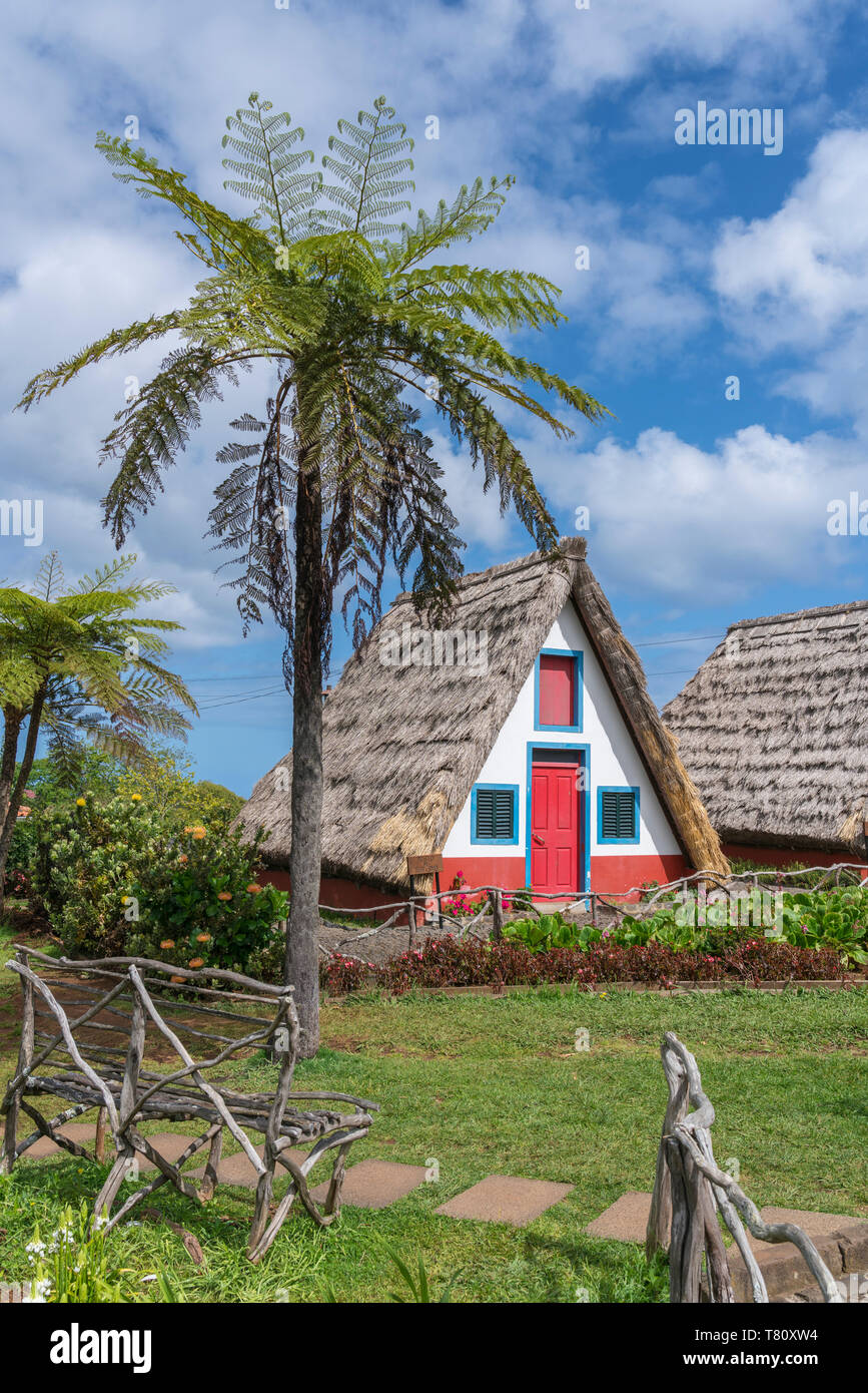 Traditional house under a palm tree, Santana, Madeira region, Portugal ...