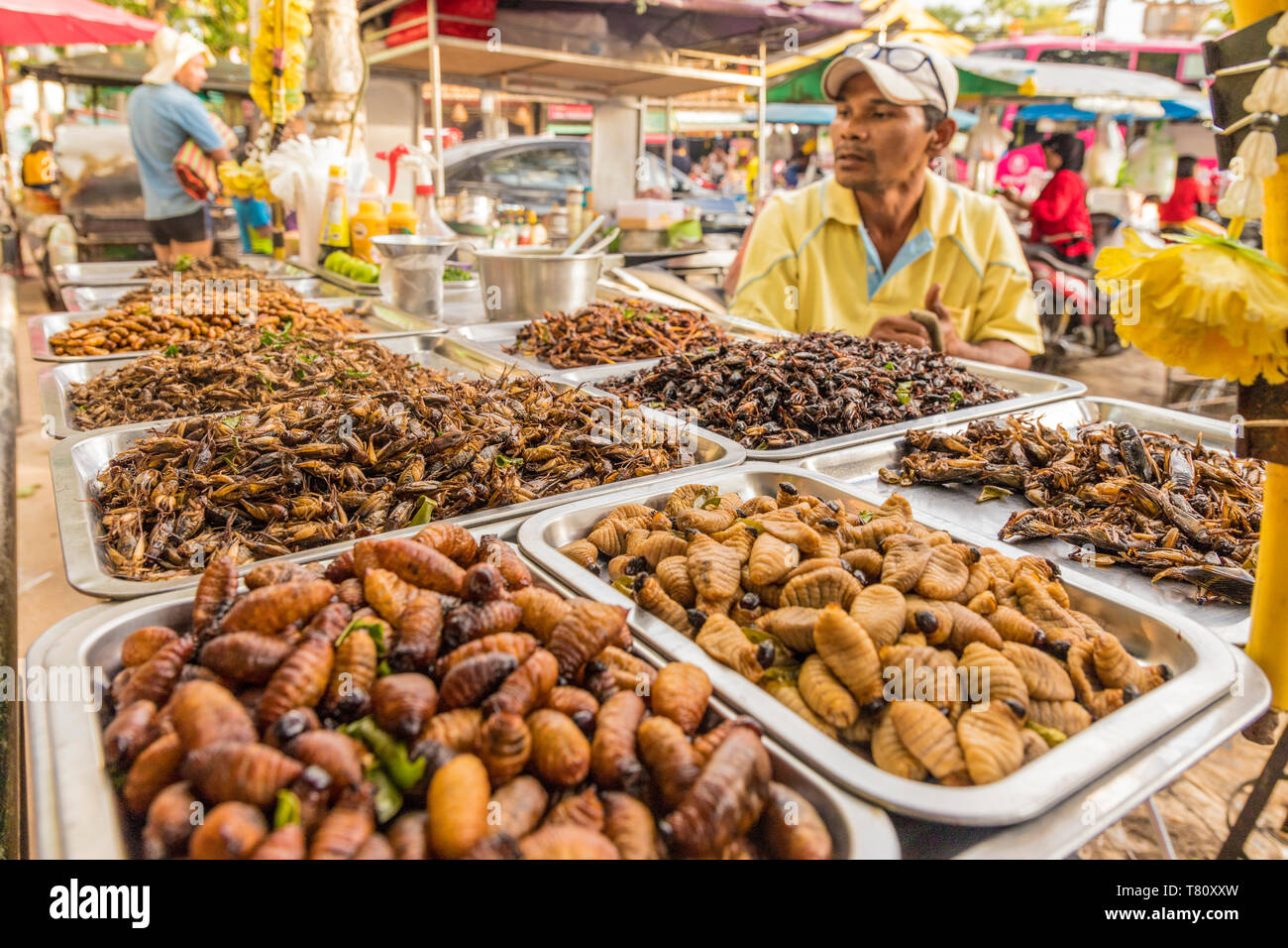 A stall selling various insects in the night market in Kamala in Phuket ...