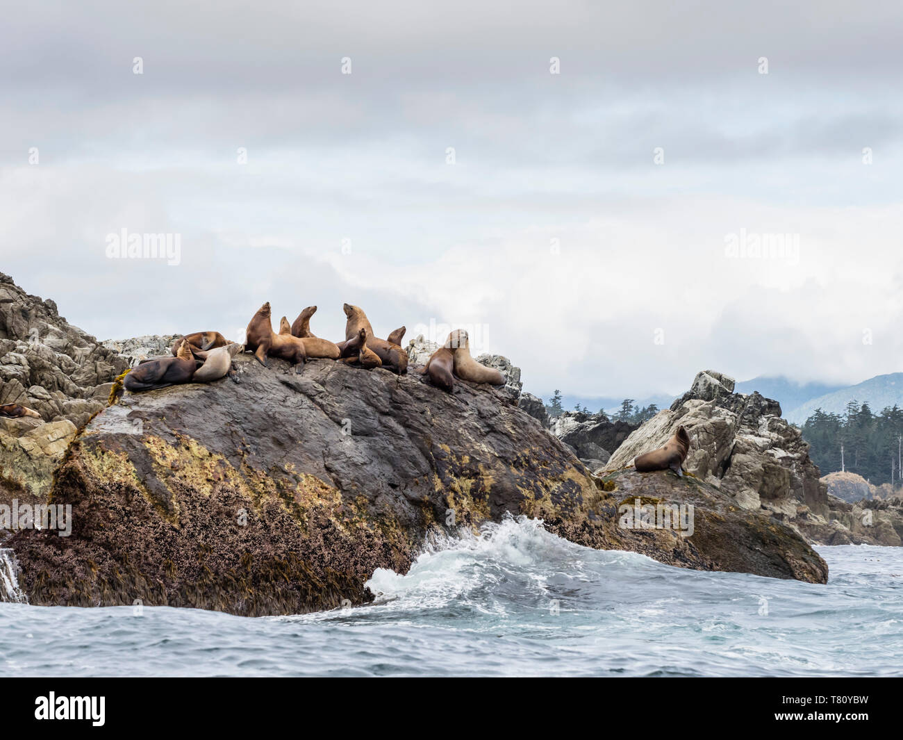 Haida gwaii british columbia hi-res stock photography and images - Alamy