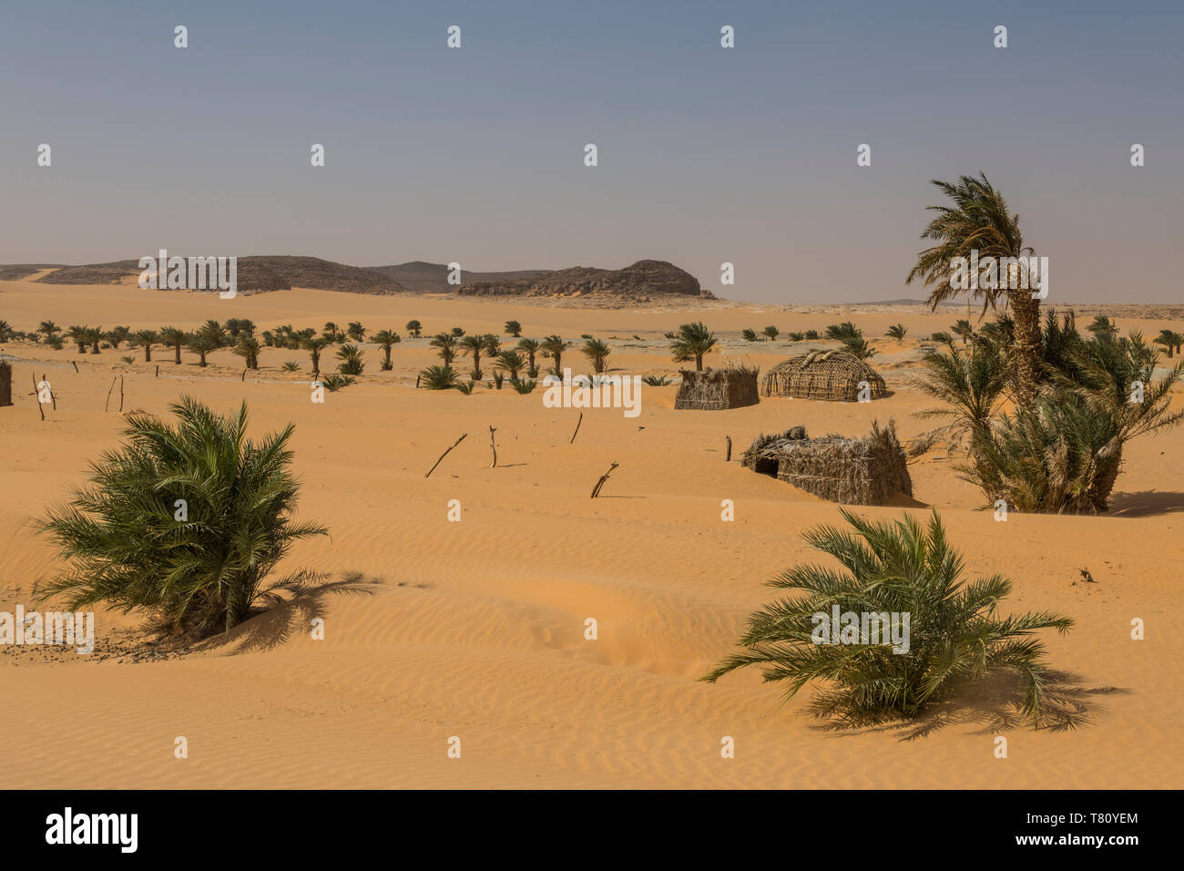 Chad africa and village hi-res stock photography and images - Alamy