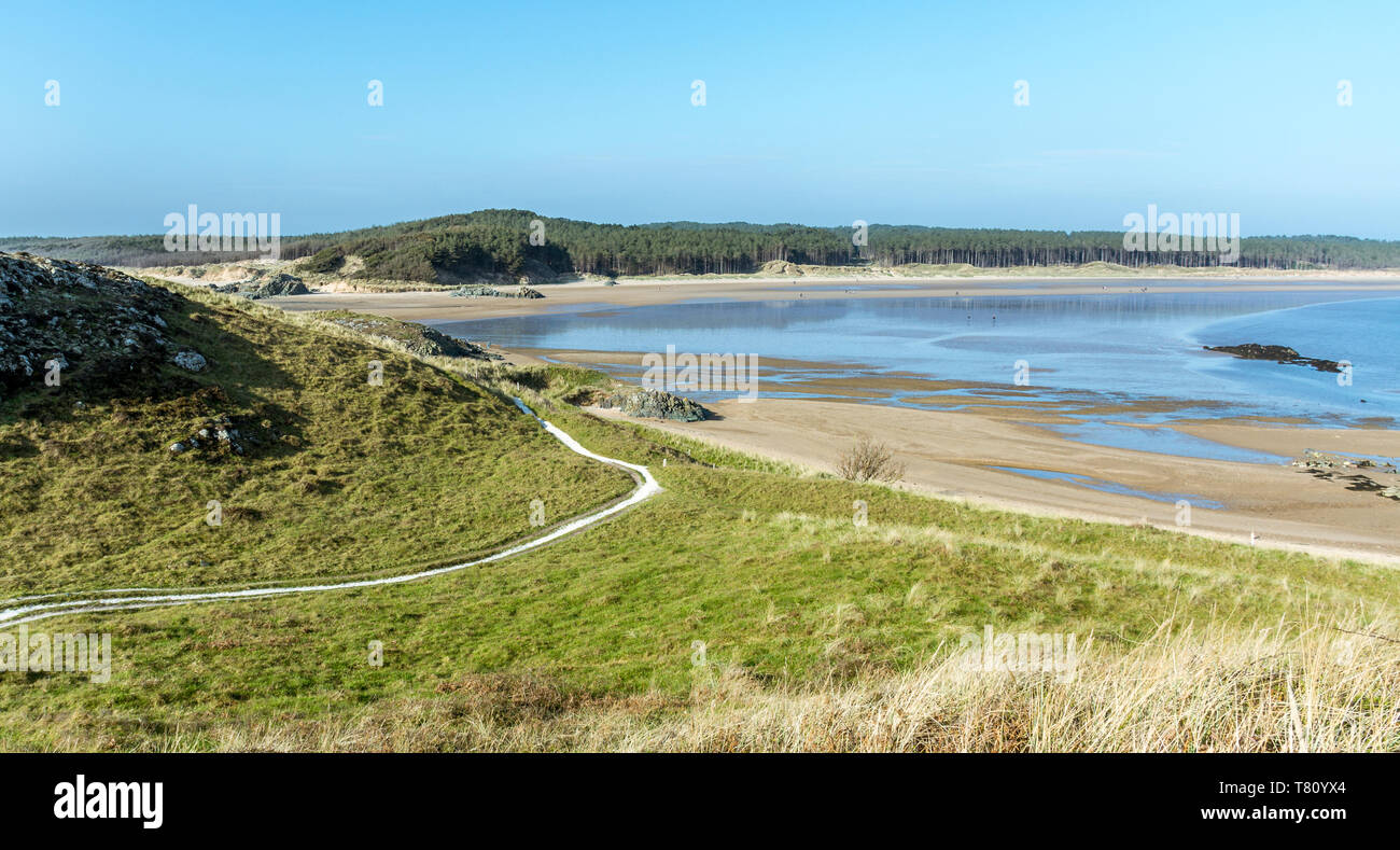A view of Newborough forest from Llanddwyn Island on the Isle of ...