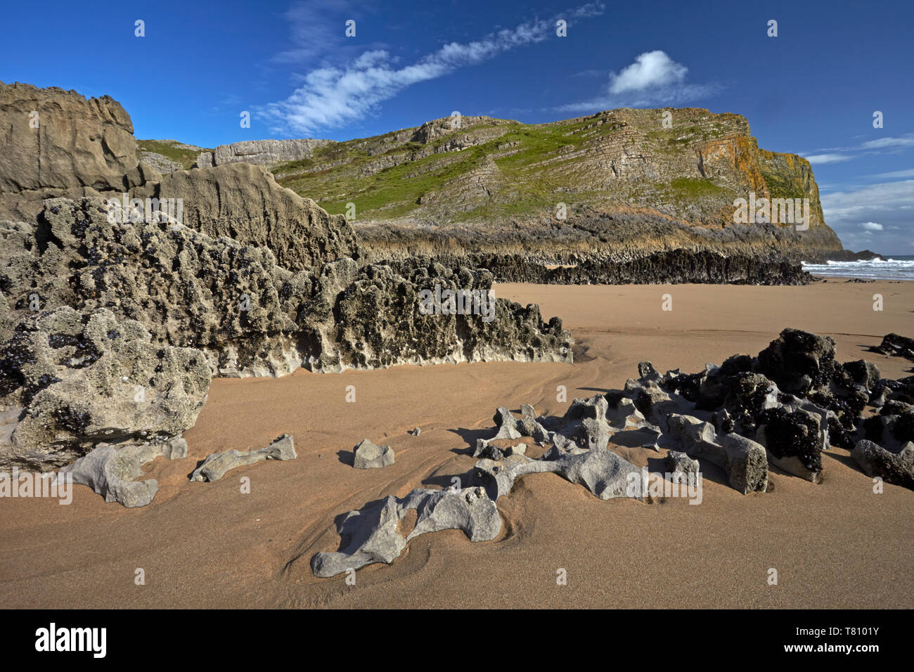 Mewslade beach hi-res stock photography and images - Alamy