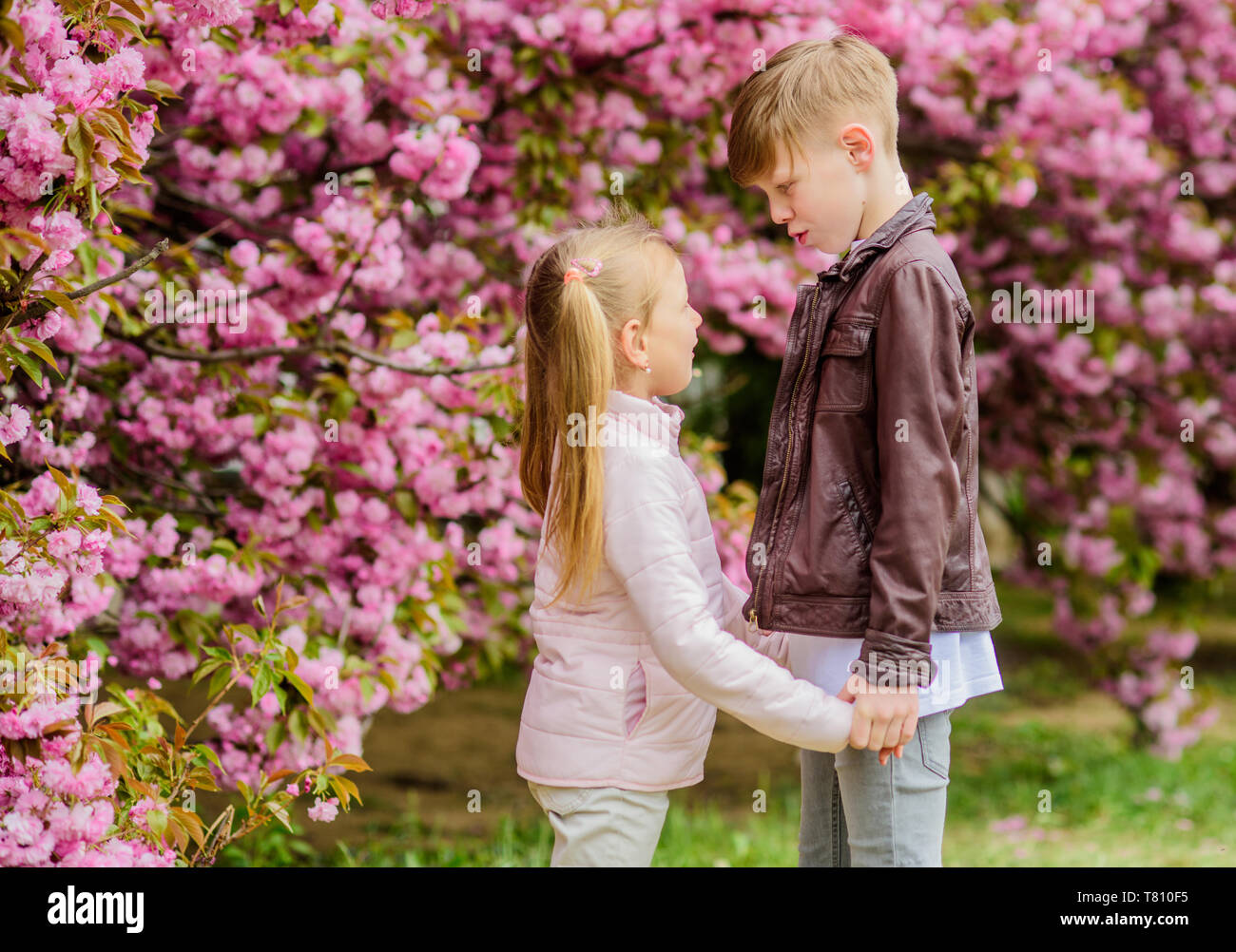 Spring time to fall in love. Kids in love pink cherry blossom. Love is ...