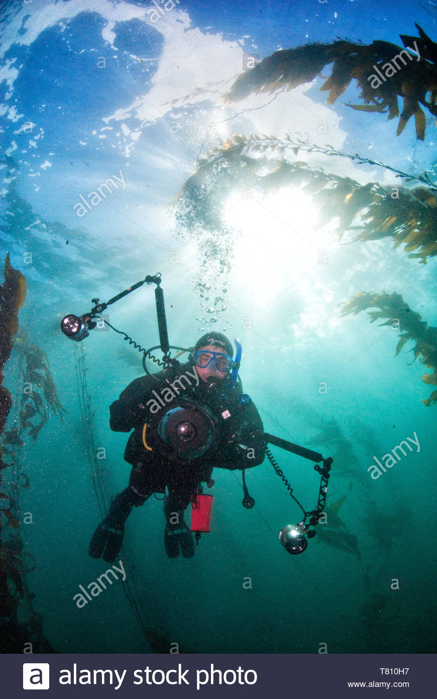 Looking Up Surface From Underwater Stock Photos & Looking Up Surface ...