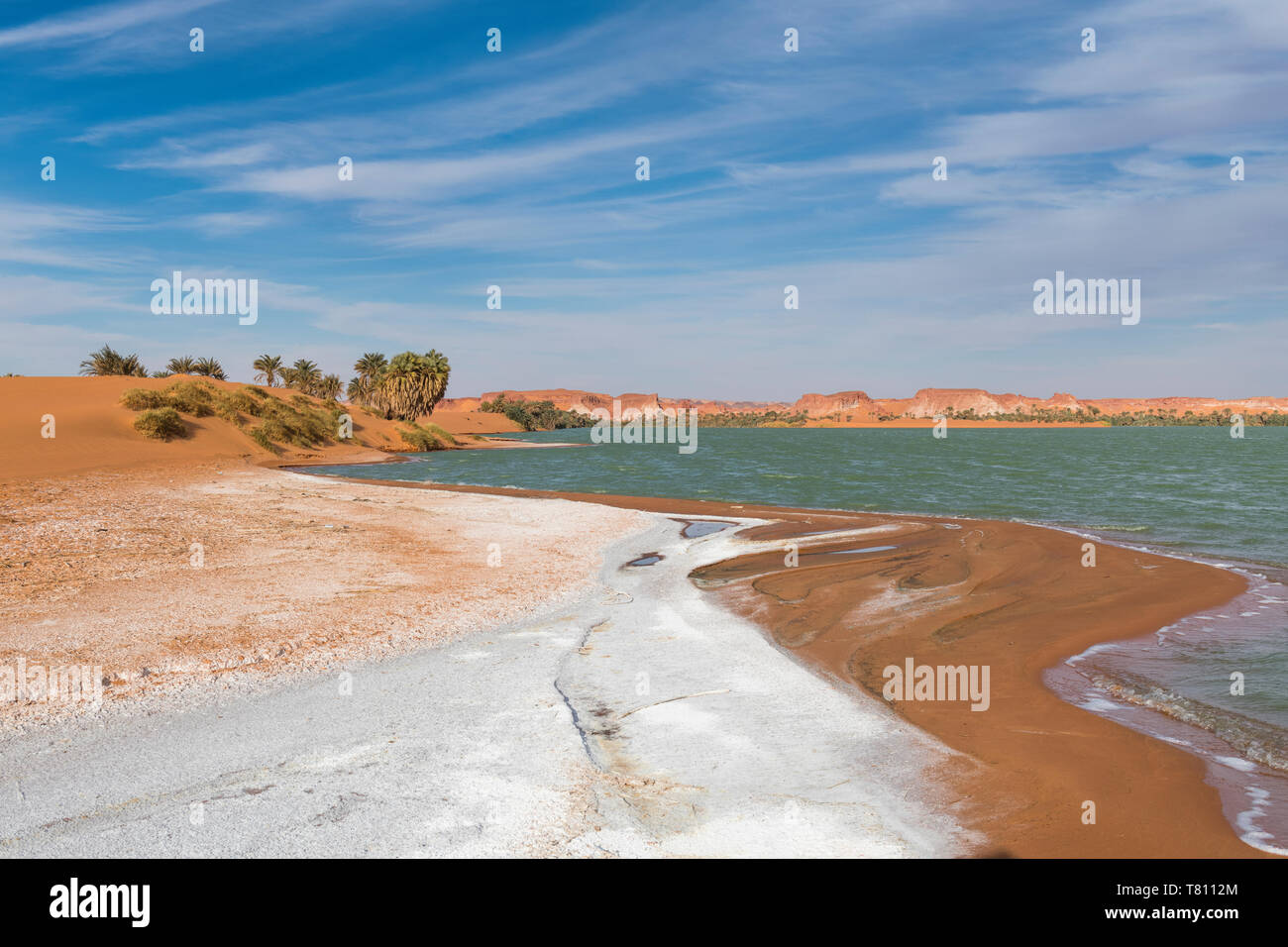 Salt crust at the shores of Ounianga Kebir part of the Ounianga lakes ...