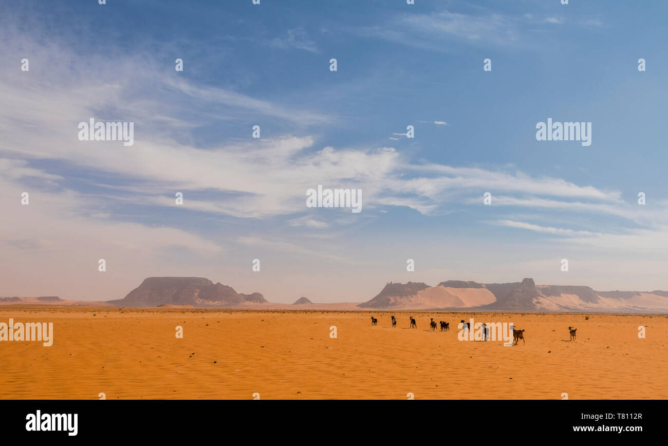 Desert scenery in northern Chad, Africa Stock Photo - Alamy