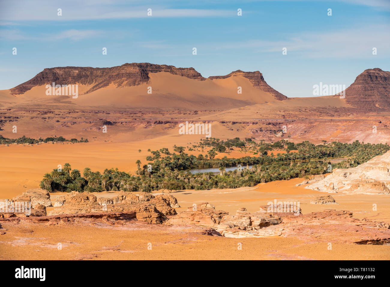 Chad Country Landscape