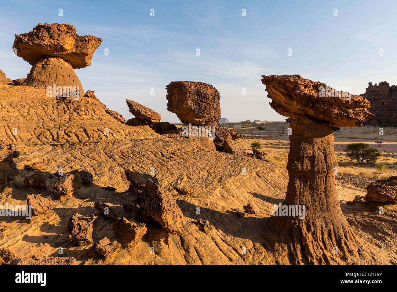 The mushroom rock formations, Ennedi Plateau, UNESCO World Heritage ...