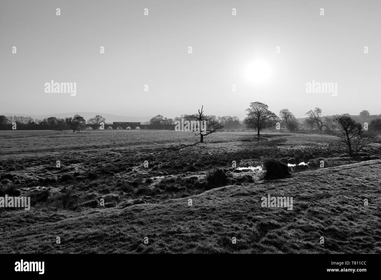 Countryside on train journey Black and White Stock Photos & Images - Alamy