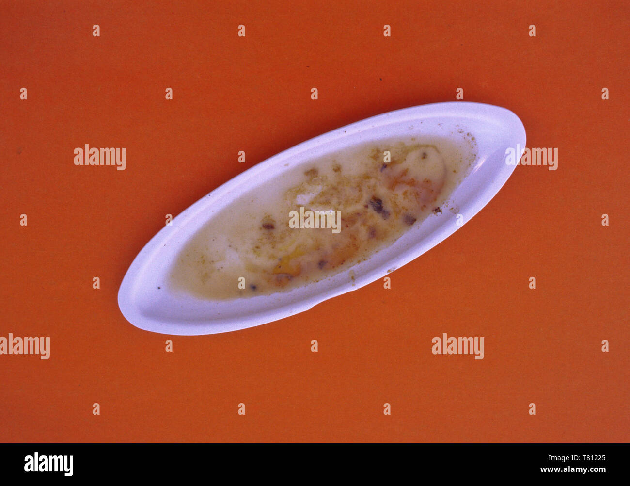 Still life of fat from a 4 ounce regular beef patty Stock Photo - Alamy