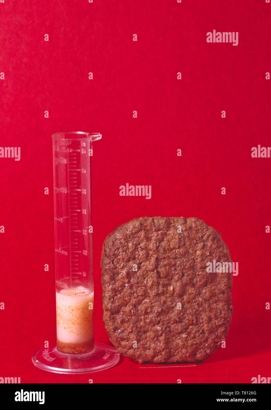 Still life of fat in a measuring cylinder from a 4 ounce regular beef ...