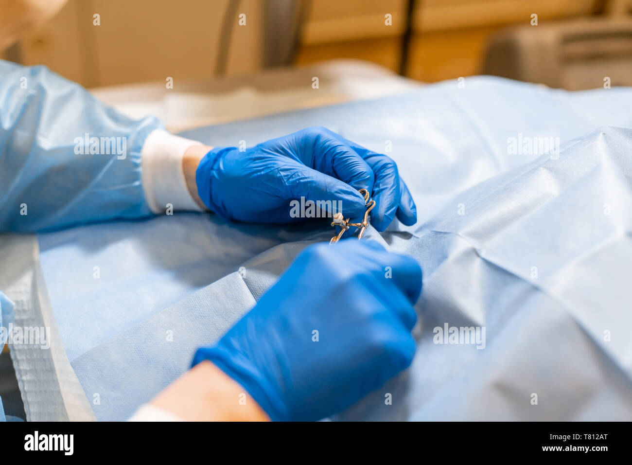 Vet surgeon assistant cover dog patient by sterile cover. preparing to ...