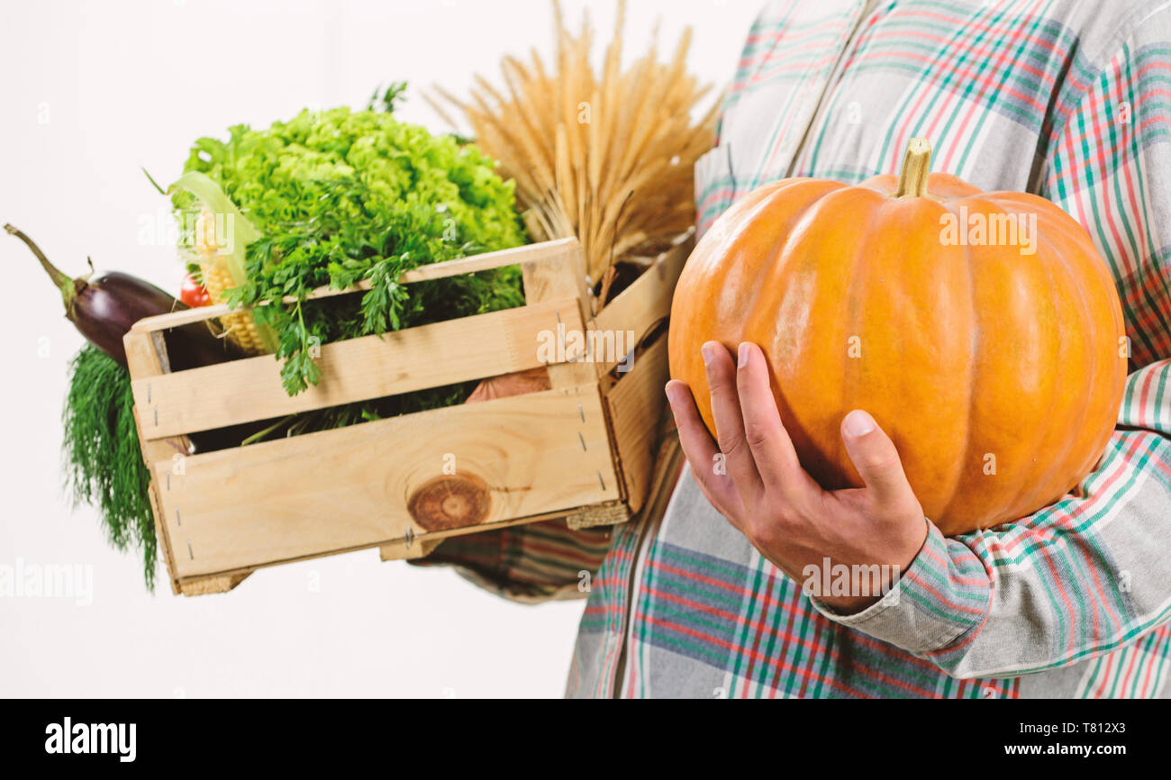 Delivery service fresh vegetables from farm. Buy fresh homegrown ...