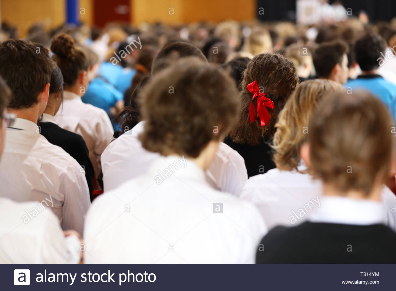 Large Classroom Students Teacher High Resolution Stock Photography and ...