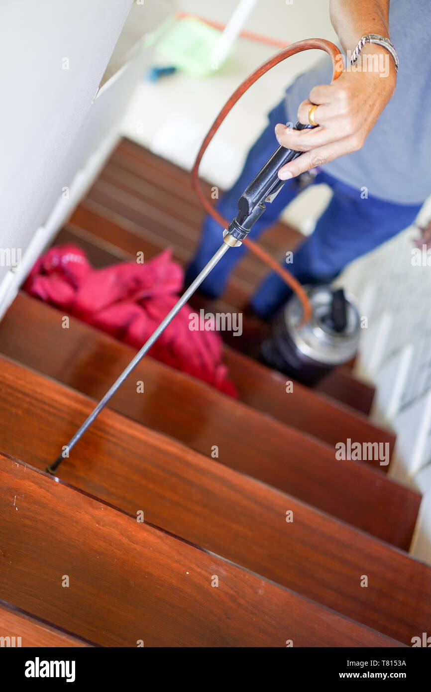 Pest / termites control services on wood stair in the new house that ...