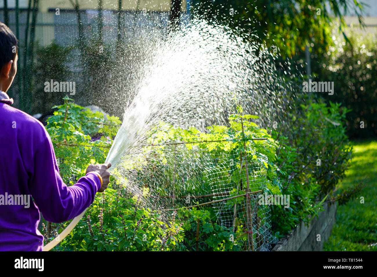 Graden work hi-res stock photography and images - Alamy