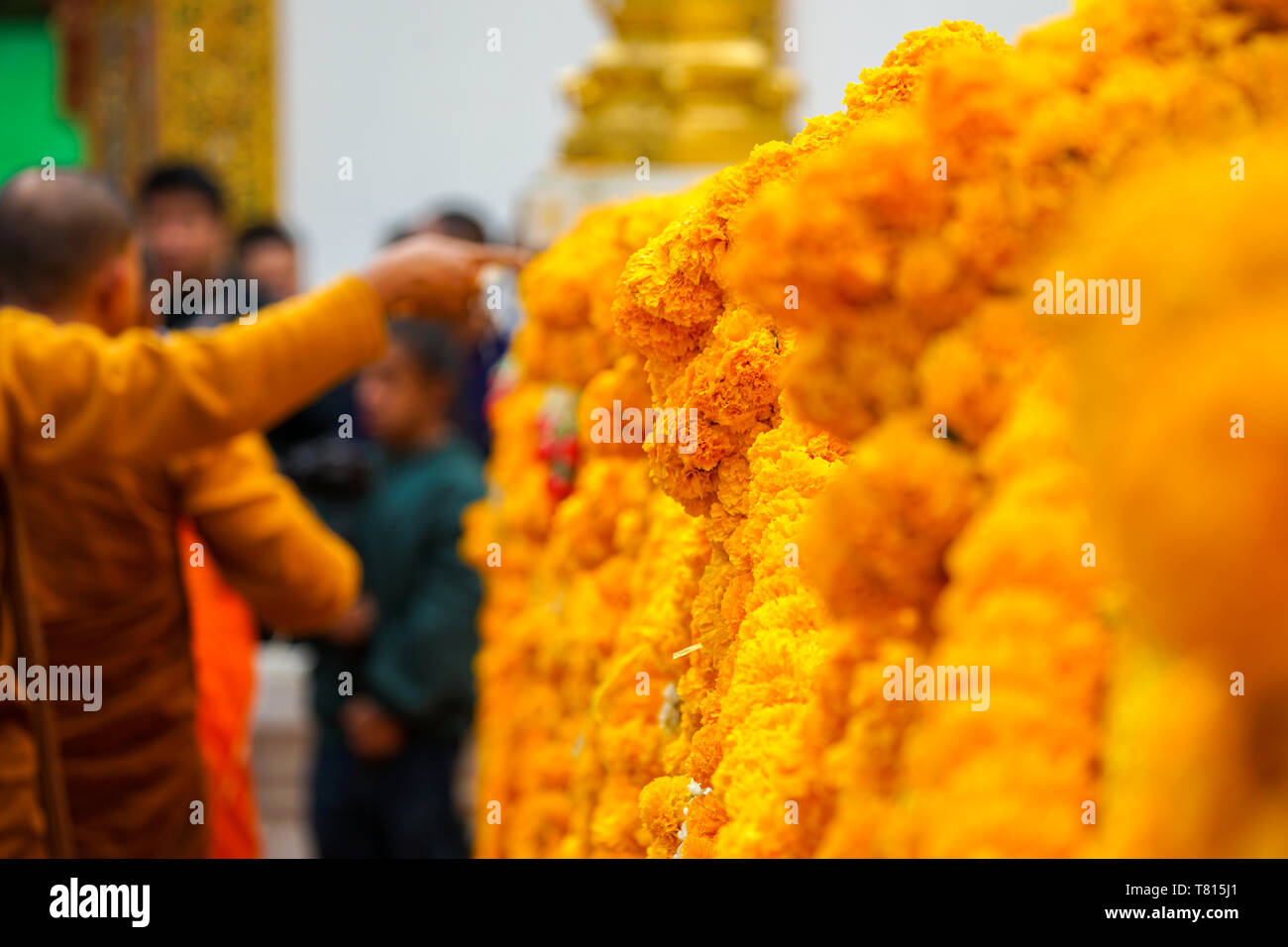 Thai calendula craft garland handmade hang on to pagoda barricade ...