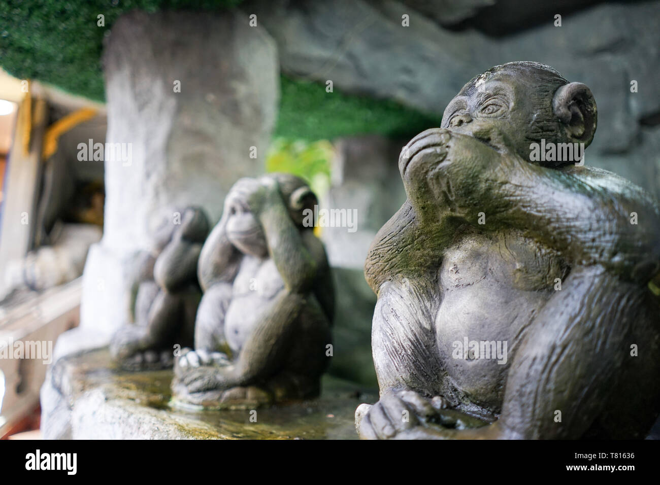 3 monkey quote hi-res stock photography and images - Alamy