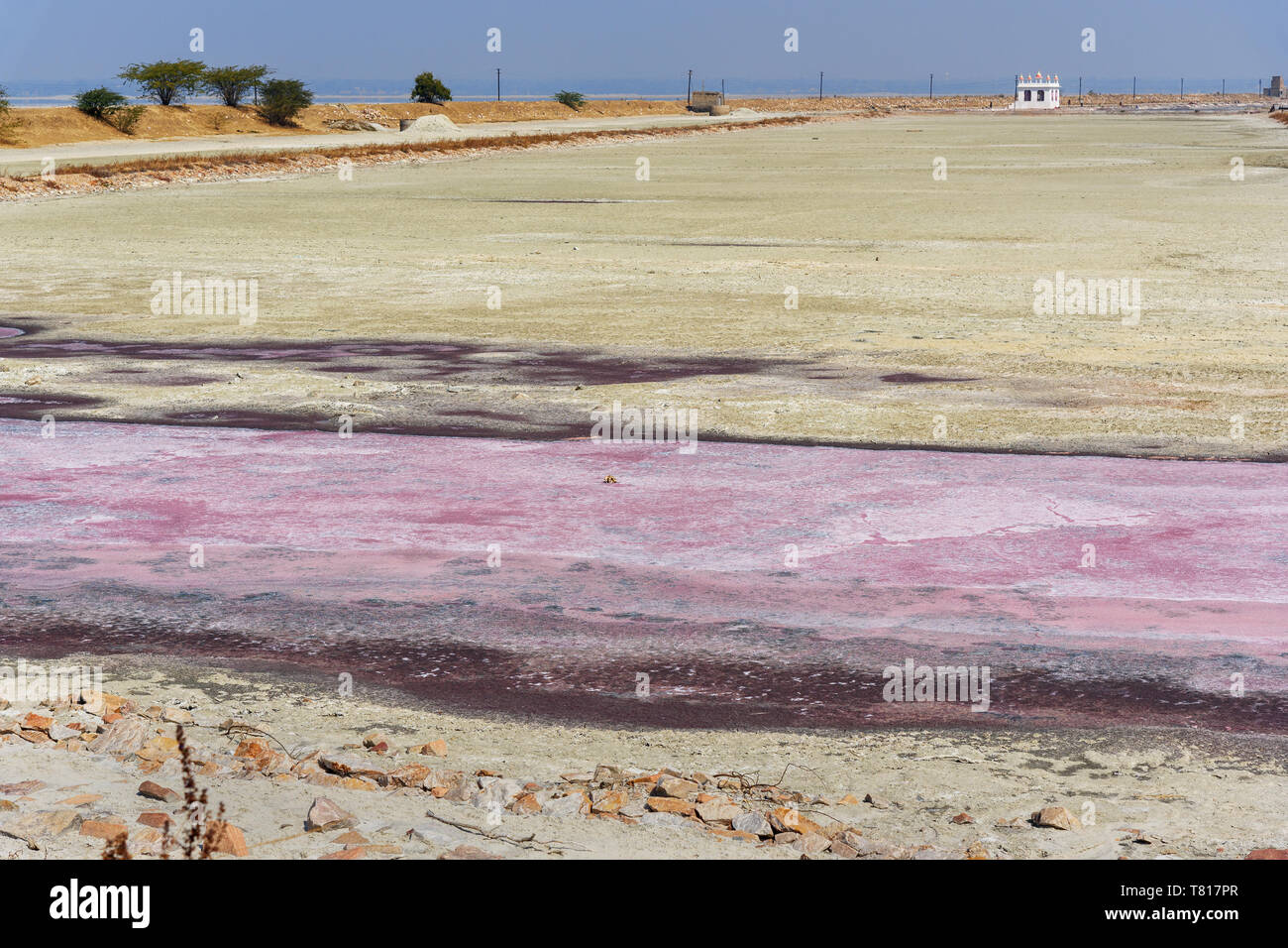 Pink salt at Sambhar Salt Lake in Rajasthan. India Stock Photo - Alamy