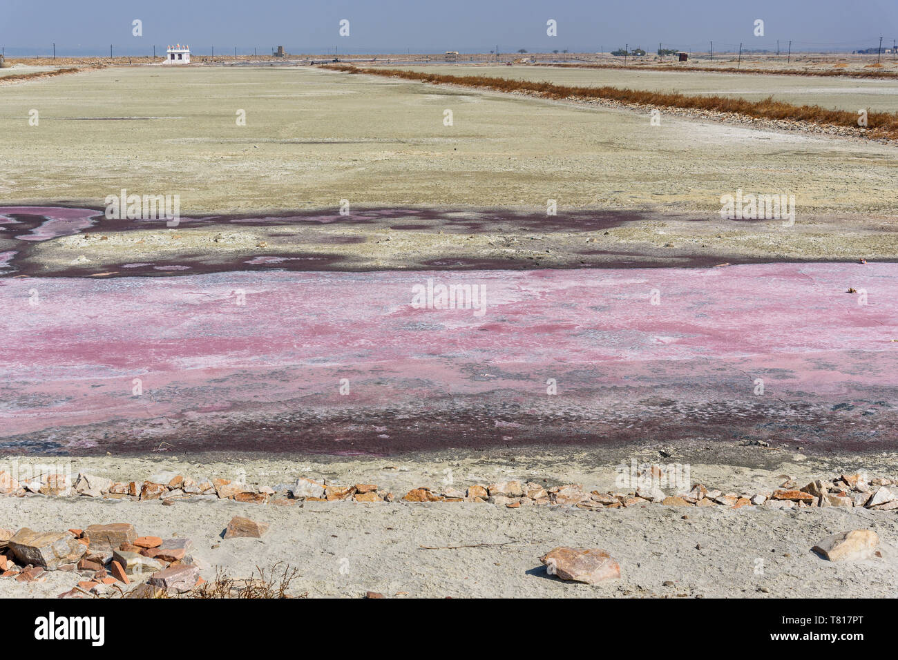 Pink salt at Sambhar Salt Lake in Rajasthan. India Stock Photo - Alamy