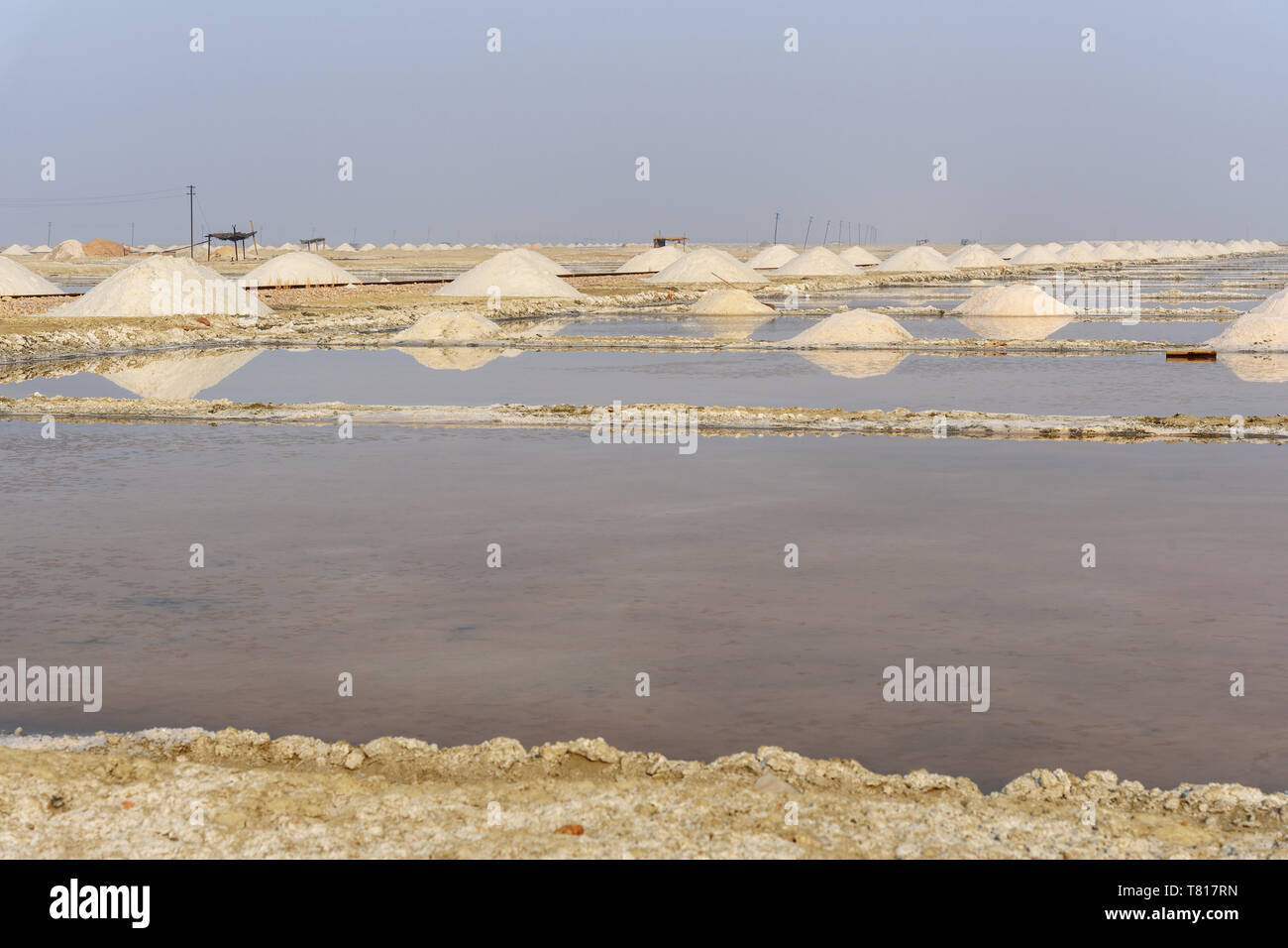 Sambhar salt lake hi-res stock photography and images - Alamy