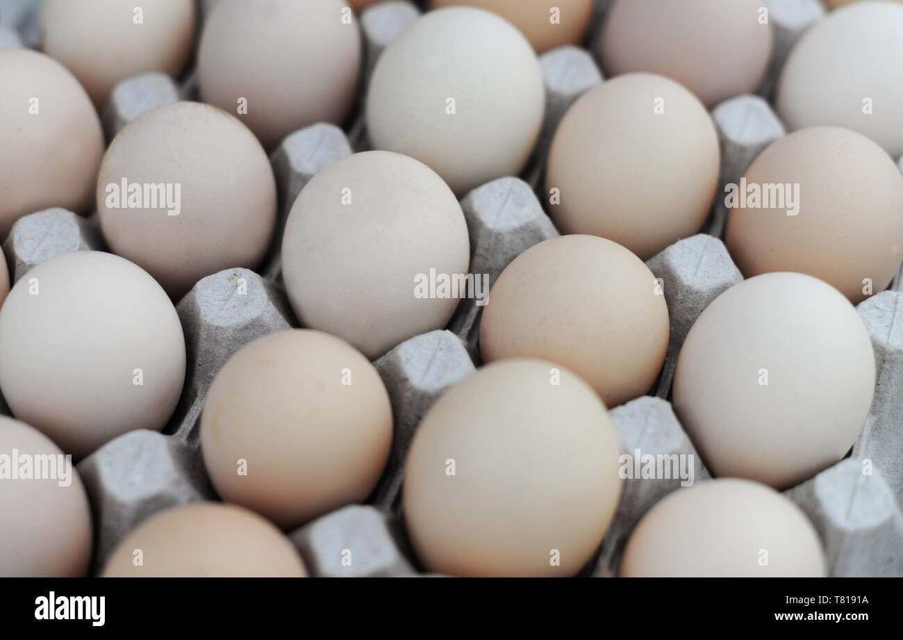 Chicken packing tray hi-res stock photography and images - Alamy